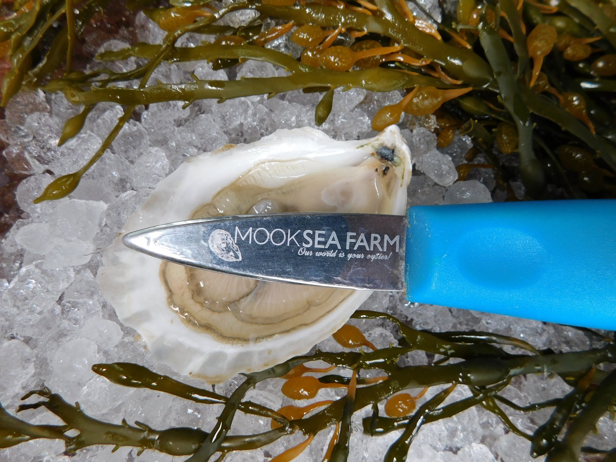 Products – Mook Sea Farm